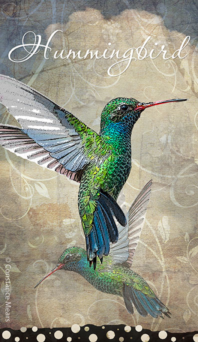 _DH-Cards-Hummingbird-web - Constance Mears
